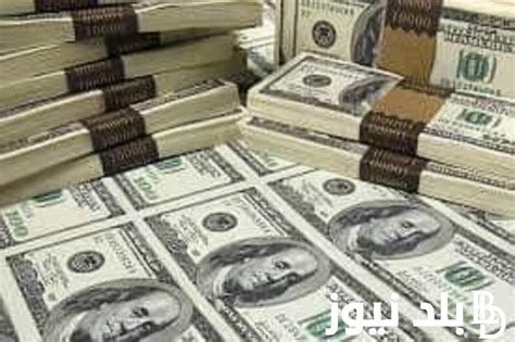 عااجل ارتفاع اسعار الدولار اليوم مقابل الجنيه المصري 29 10 2023 في
