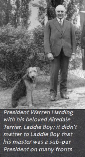 The Post Presidency Of Woodrow Wilson 1920 1924 Mr Jensens U S