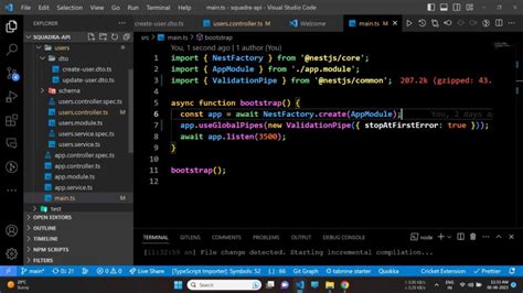 how to use class validator and generate custom error object in nest js