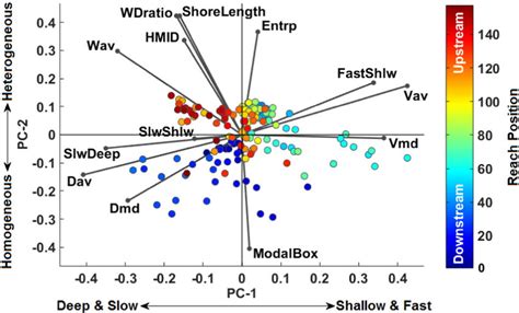 plot of the first two principal component analysis pca axes for the