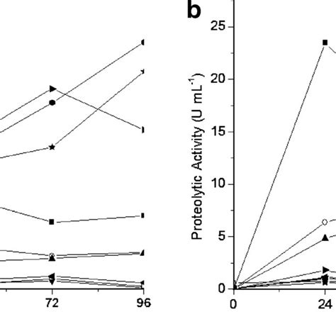 Proteolytic Activity In The Acid A And Alkaline B Substrates