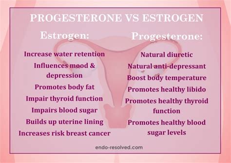 Progesterone Hormone Function
