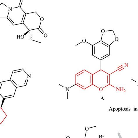 Chemical Structure Of Certain Anticancer Reactive Moieties P E R S O N