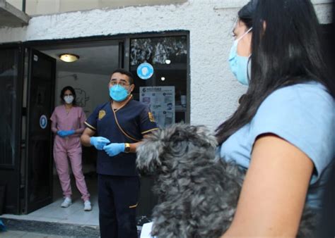 Continúa Esterilización Gratuita De Mascotas En Naucalpan Diario Puntual