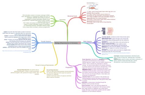 Biology {reproduction In Humans} 🦑 Coggle Diagram