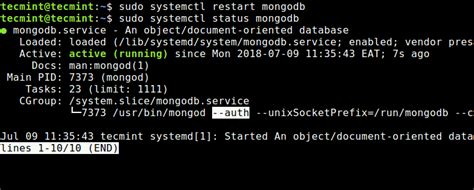 start mongodb server on ubuntu snmolqy