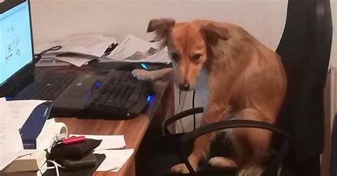 Sorry Im Busy Today Album On Imgur