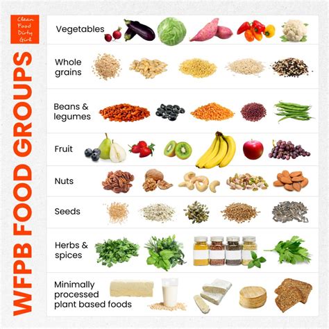 Plant Based Diet For Beginners Aerns