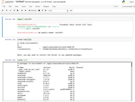 python conda list packages not from active environment