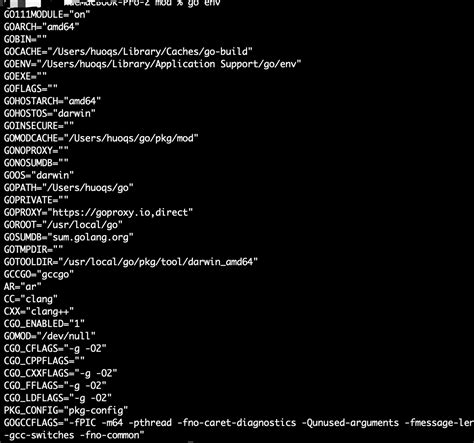 golang setting environmental variables mac linux programmer all