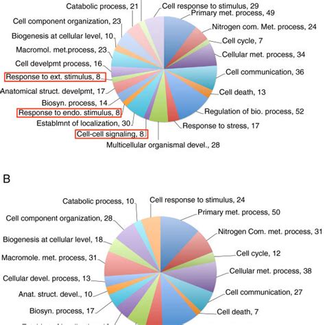 Functional Annotation Of Differentially Expressed Genes Based On Gene