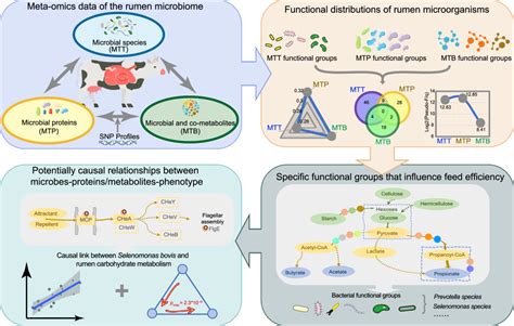 Deciphering Functional Groups Of Rumen Microbiome And Their Underlying