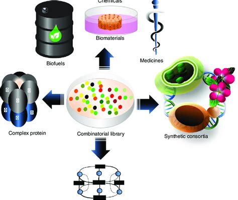 application of combinatorial optimization strategies one main aim of