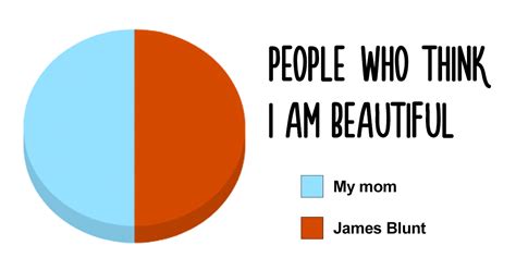 15 Hilarious Pie Charts That Are Absolutely True Bored Panda