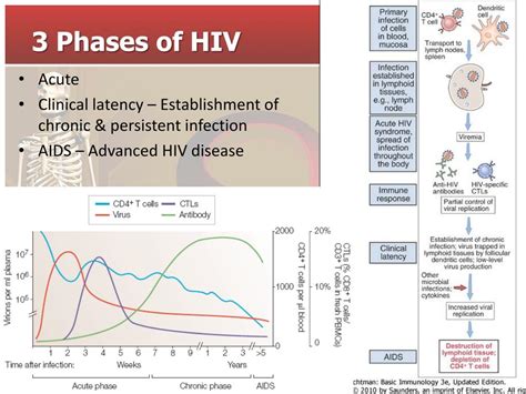 Ppt Aids Epidemiology Powerpoint Presentation Free Download Id