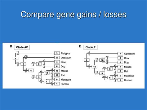 Ppt Lecture 19 Olfaction Powerpoint Presentation Free Download