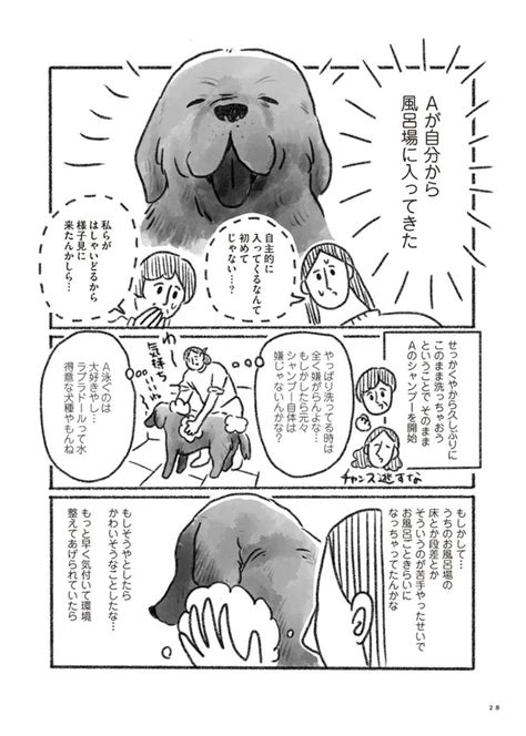 ＜画像26 37＞16歳の老犬「先が短い」と聞き、介護をするため仕事を辞めて実家へ 制作は「もういないということを受容するための大切な作業
