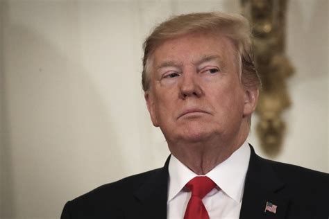 Donald Trump Set To Roll Back Transgender Healthcare Protections Lgbt