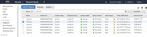 creating amazon ec2 instances for nginx open source and nginx plus