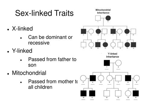 Ppt Pedigrees And Genetic Analysis Powerpoint Presentation Free