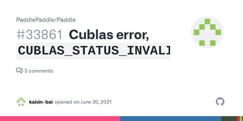 cublas error `cublas status invalid value` · issue 33861
