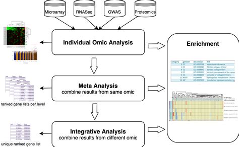 momic a multi omics pipeline for data analysis integration and