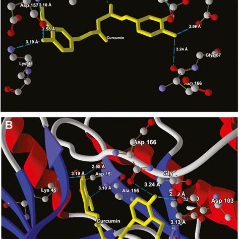 Snapshots Of The Molecular Interactions Of Curcumin A Binding Mode