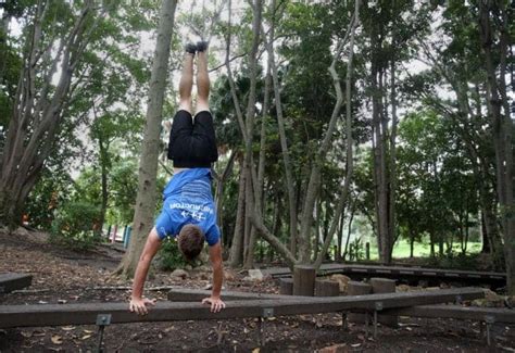 How You Too Can Climb Trees And Park Your Inner Fears Ipswich First