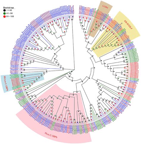 frontiers sex and tissue specific expression profiles of odorant