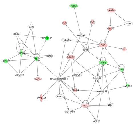 how to control any complex system big think
