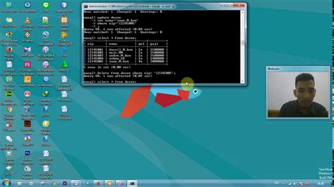 update database mysql insert update delete di cmd youtube