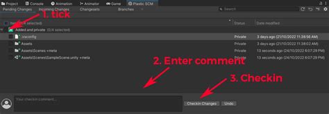 how to set up a plastic scm repository in unity and add team members to