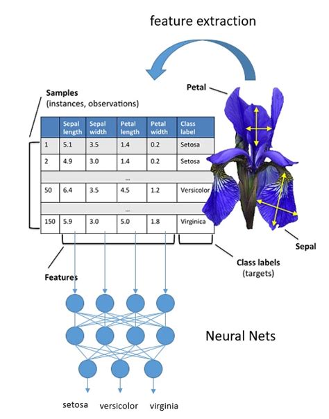 from neural networks to deep learning sefik ilkin serengil