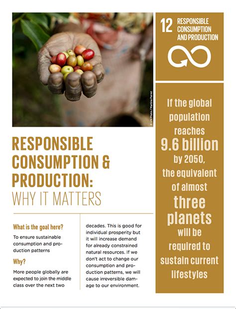 Sdg 12 Sustainable Development Goal 12 Responsible Consumption And