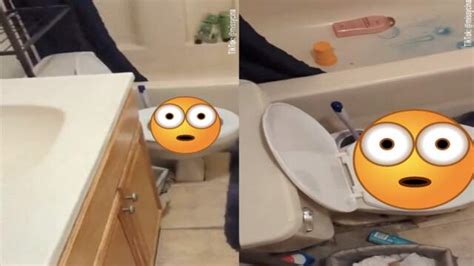 Must Be Florida Woman Freaks Out After Peeing In Her Toilet Bowl And