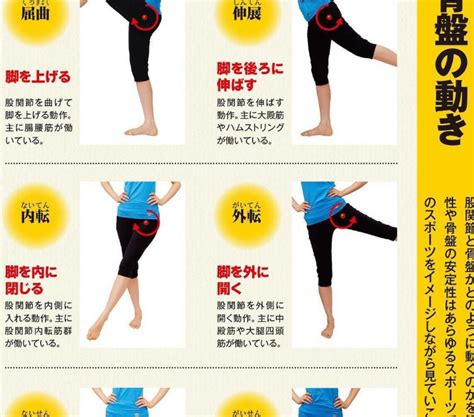 クリケット 泥棒 基準 ランニング 腰痛 ストレッチ Asamikekkan Jp