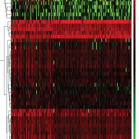 Identification And Enrichment Analysis Of Differentially Expressed
