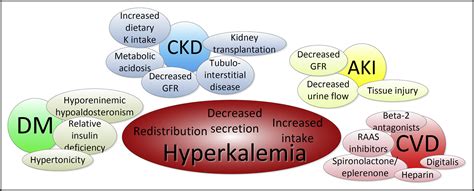 Management Of Hyperkalemia An Update For The Internist The American
