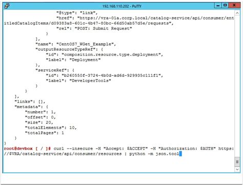 executing day 2 actions with the vra 7 rest api