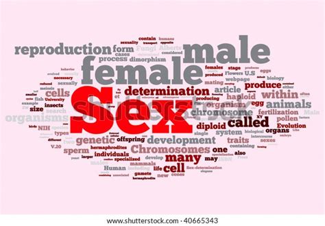 sex word cloud illustration graphic tag stock vector royalty free