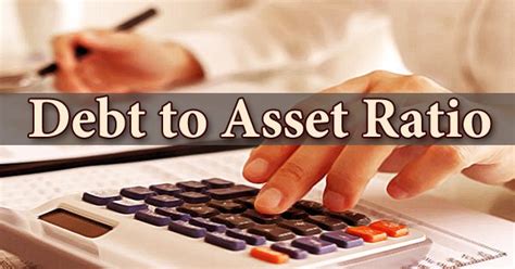 Debt To Asset Ratio Assignment Point