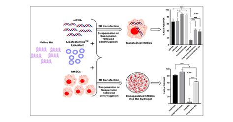 Insights Into Sirna Transfection In Suspension Efficient Gene