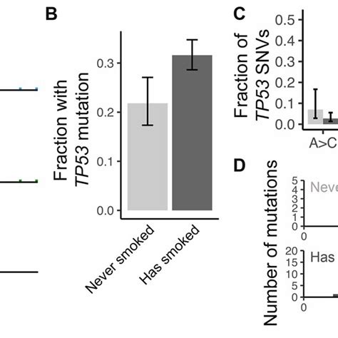 Tp53 Snvs Are Found In The Dna Binding Domain And Are Associated With