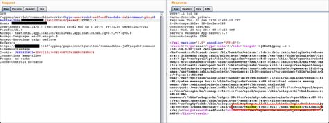 command injection vulnerability in network diagnostics tool of websense