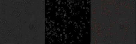 skimage hough circle detection — particles edges detected