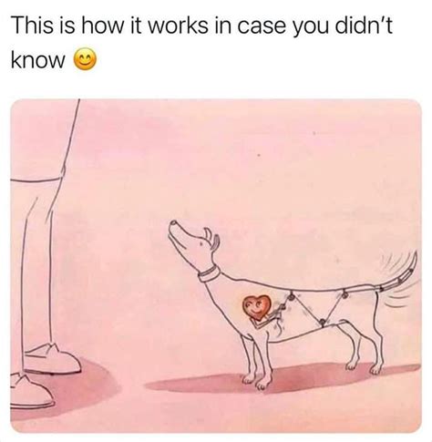 41 Heartwarming Wholesome Memes That Give Us Faith In Humanity Shared