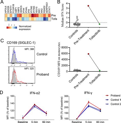 Correction Of The Interferon Signature After Treatment With The Jak