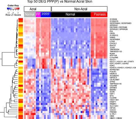 Heat Map Representing The Expression Profiles Of The Top 50