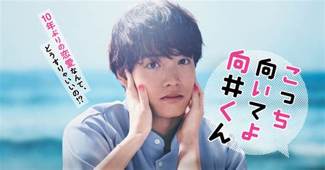 日テレ こっち向いてよ向井くん Dvdボックス視聴者プレゼントキャンペーン 超役立つテレビ懸賞サイト