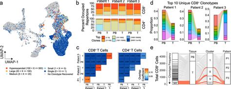 Clonal Dynamics Vary By T Cell Types And Patients A Umap Of 37 055